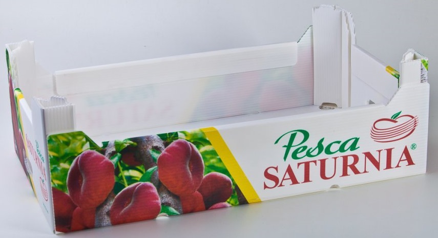 Stampa digitale Polionda - Polipropilene alveolare